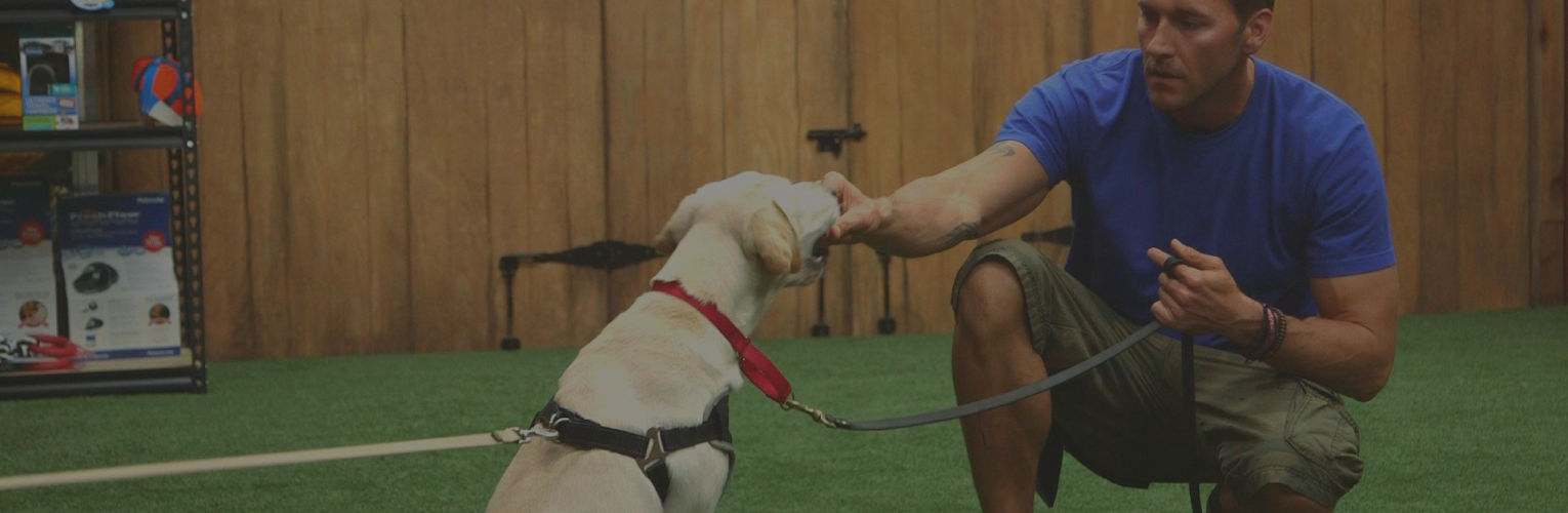 About Us - Takedown Protection