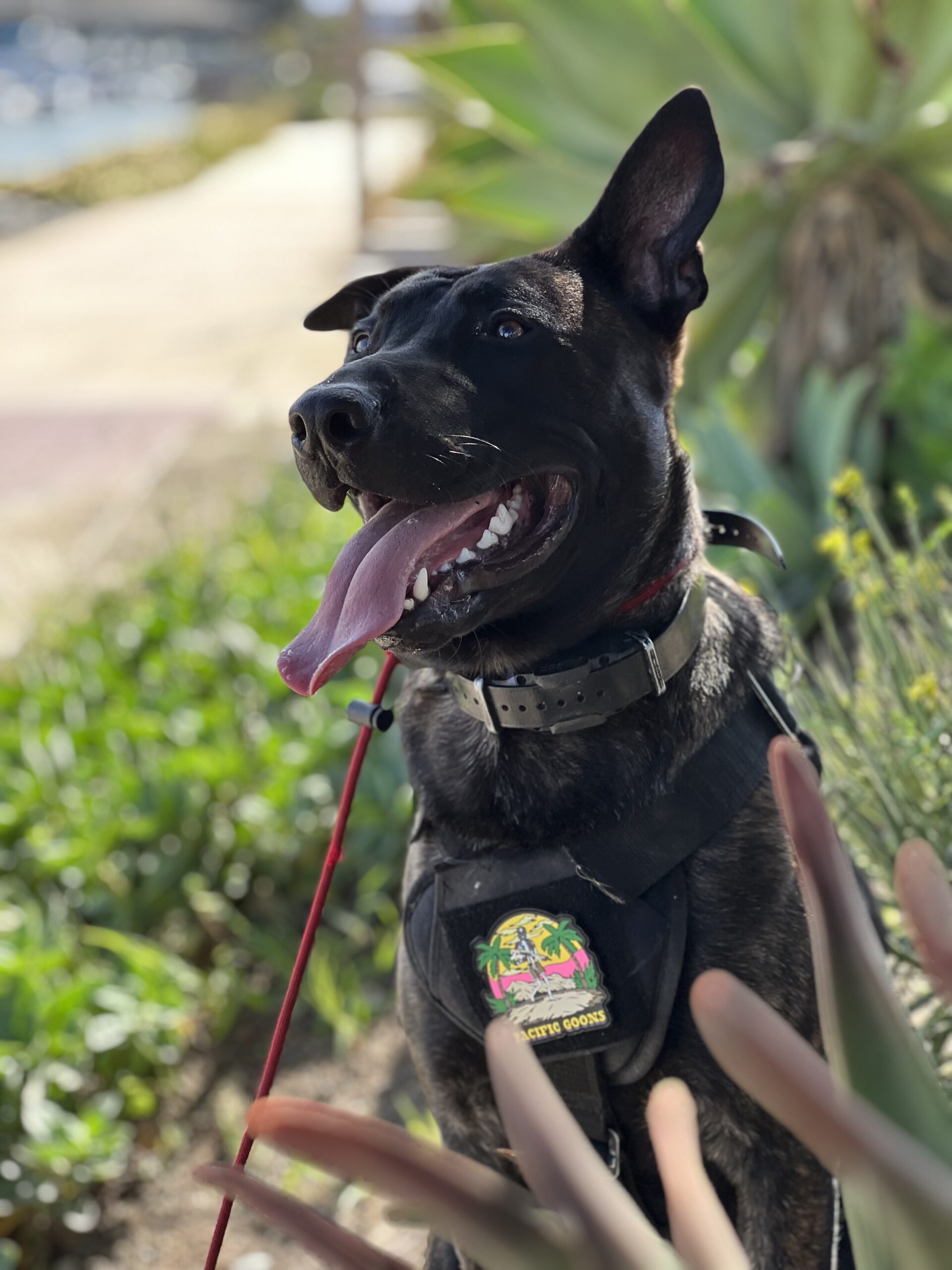 Home - Takedown Protection